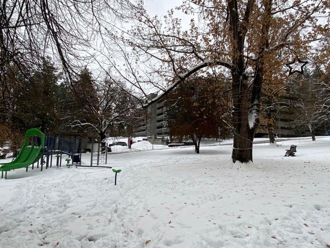 PHOTOS: Extreme Team’s Making Spirits Bright lights at Cowley Park ...