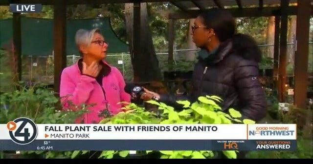 Friends of Manito fall plant sale returns to one-day event in Manito ...