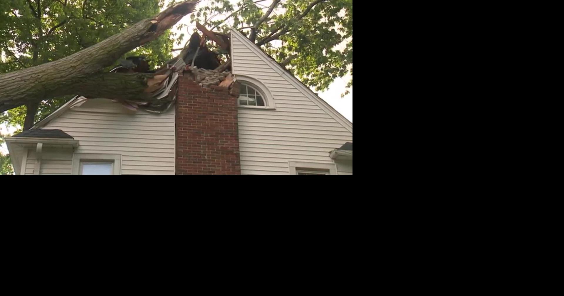 MI: FATHER RESCUES 6 YO AFTER TREE FALLS ON HOME | National & World ...