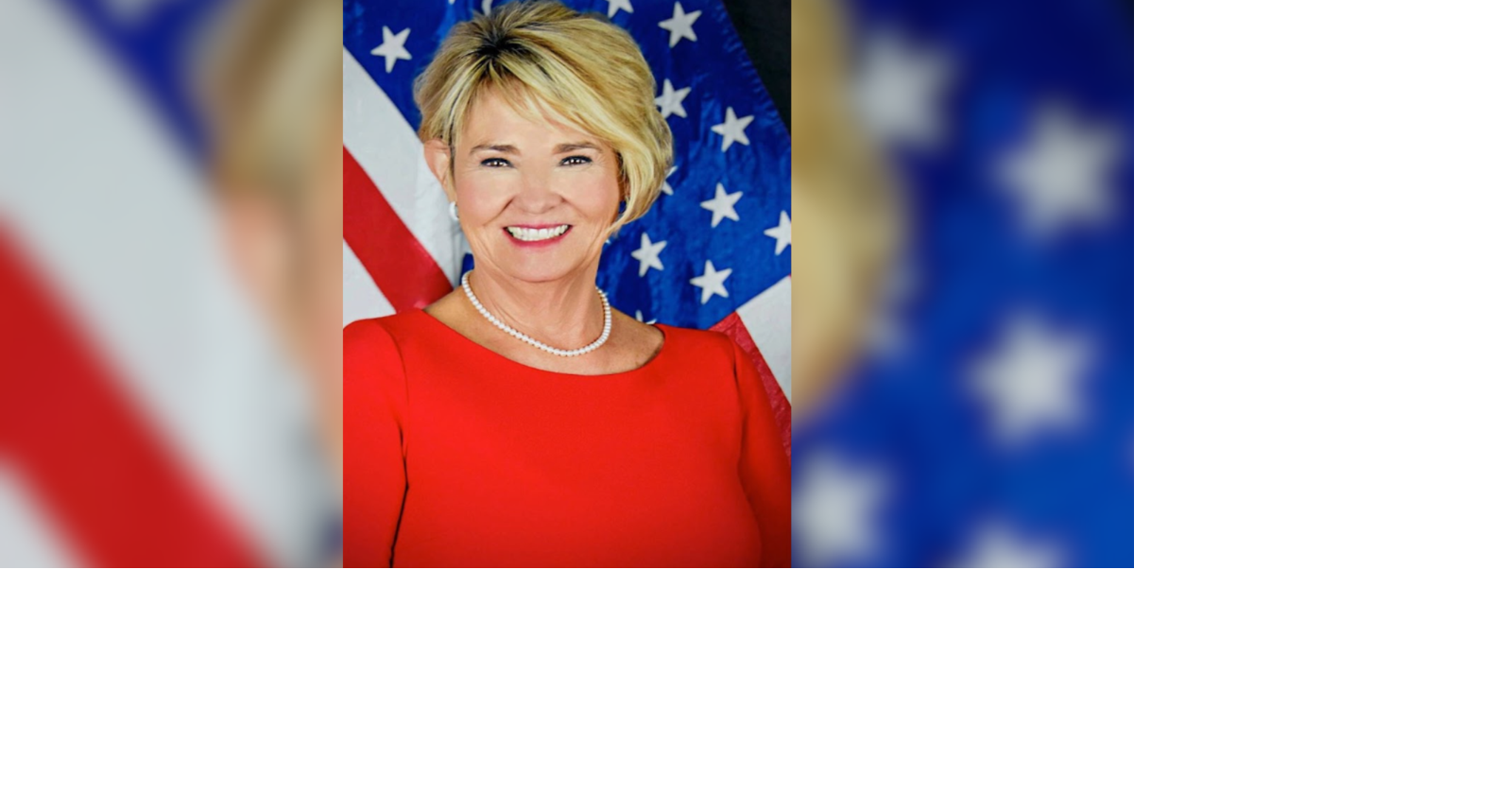WA State Representative Suzanne Schmidt will run for reelection to the ...