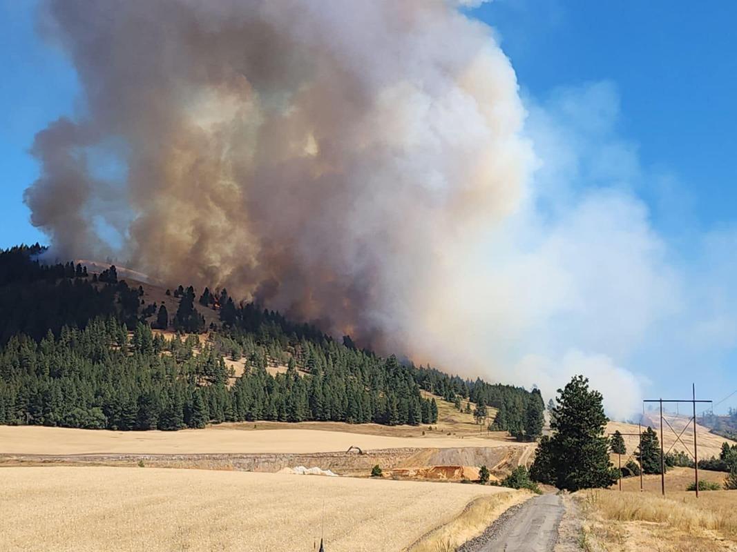 All evacuations lifted for 150-acre County Line fire in Kootenai County ...