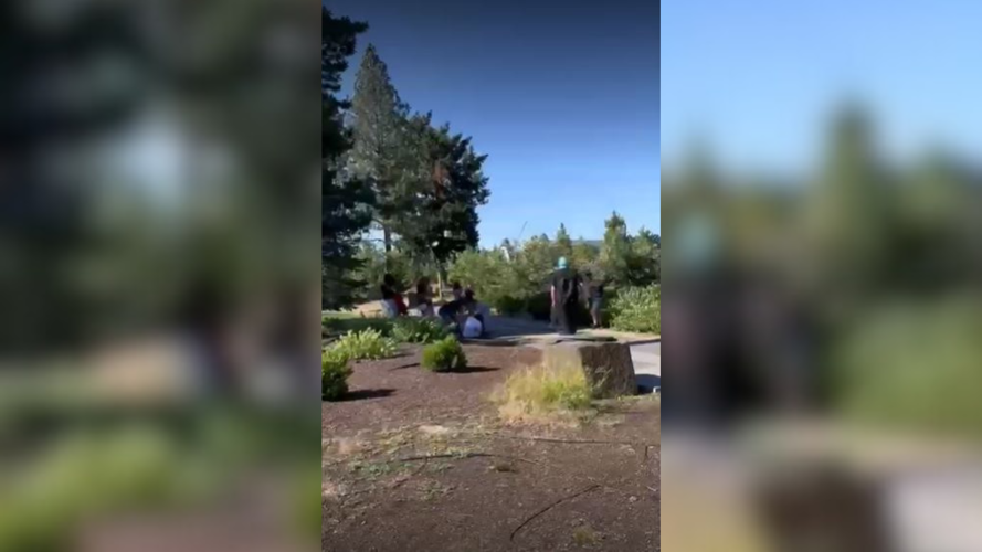 Fight involving teens breaks out at Summer Carnival in Riverfront Park ...