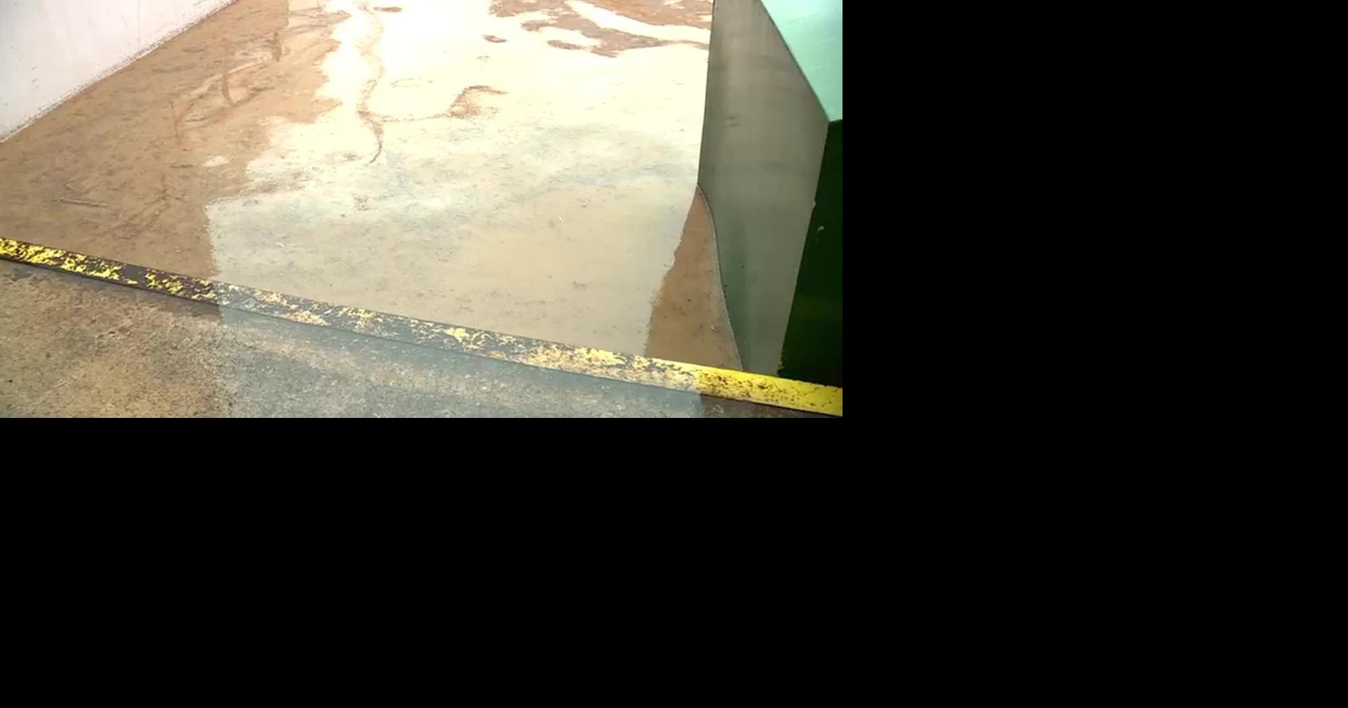 RAW: AL: STORMS/STATE HOUSE EVACUATED DUE TO FLOODING | National ...