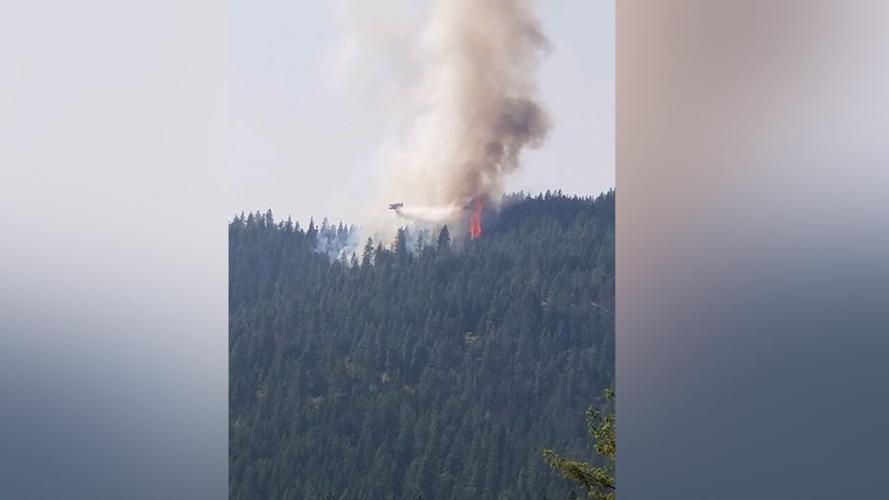 Brush fire burning in Newman Lake | Local News | kxly.com