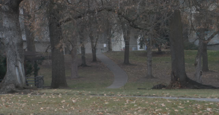 Extreme Team: Cowley Park to be filled with holiday lights to make ...