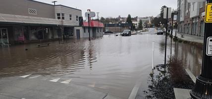 High water levels lead to flooding in Pullman, Moscow | News | kxly.com