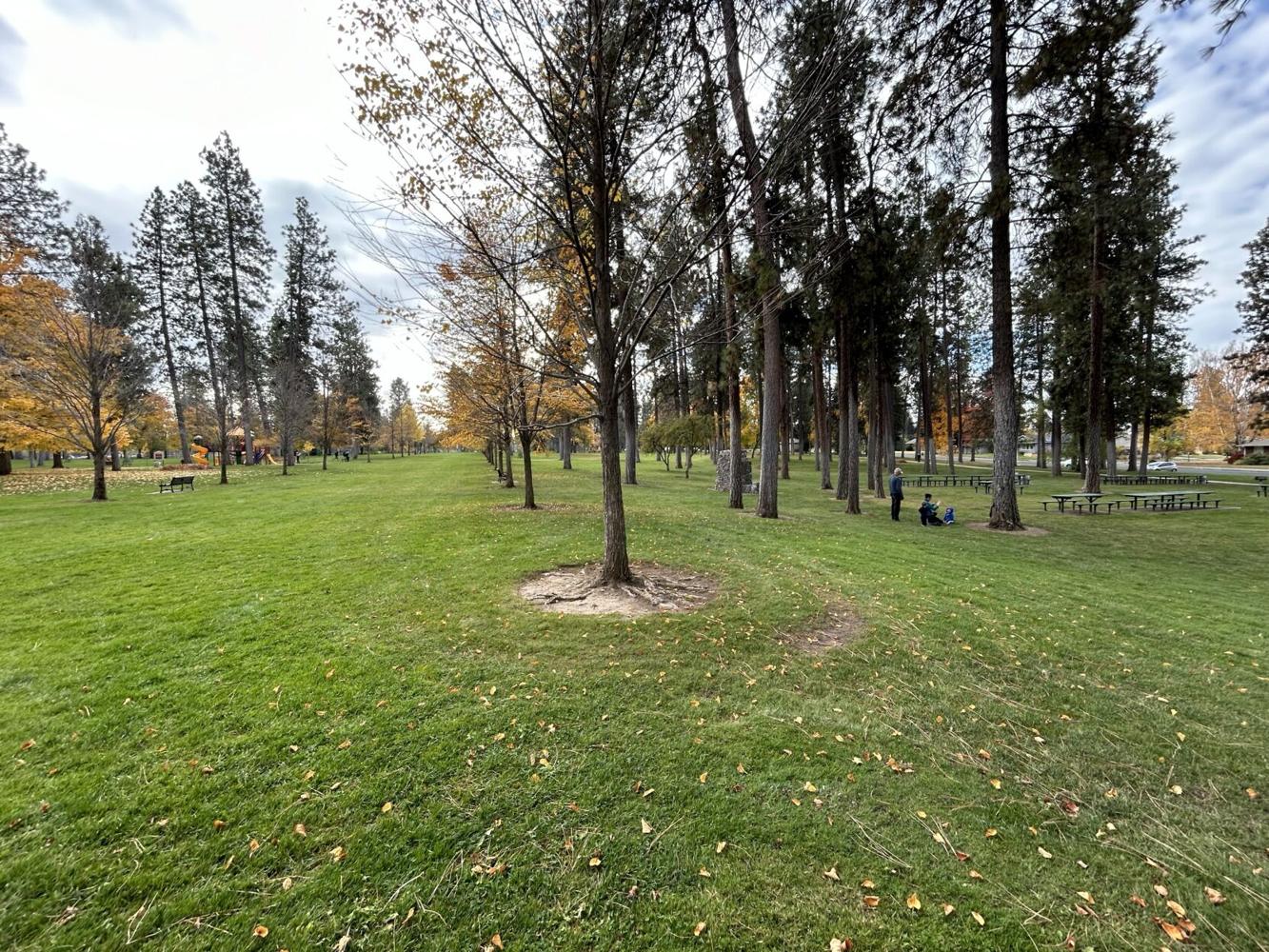 Spokane PD investigating overnight shooting in Comstock Park | News ...