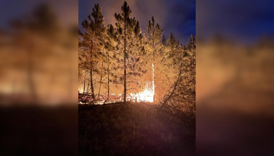 Evacuations canceled for brush fire burning near Mica, 100% contained ...