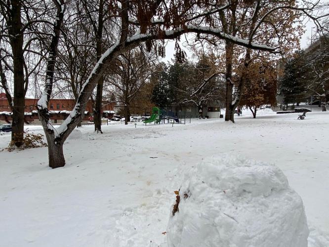 PHOTOS: Extreme Team’s Making Spirits Bright lights at Cowley Park ...