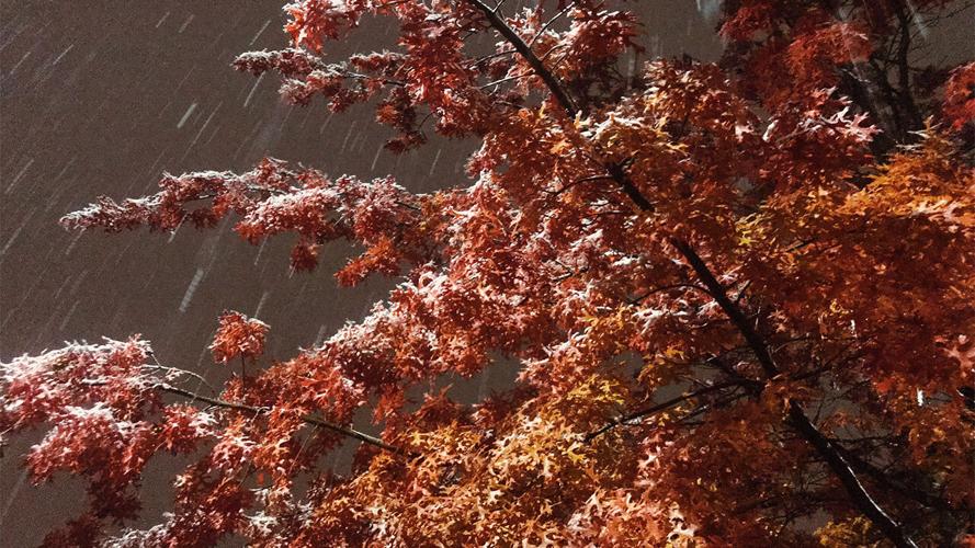 Fall snowstorm puts thousands in the dark Wednesday morning | Local ...