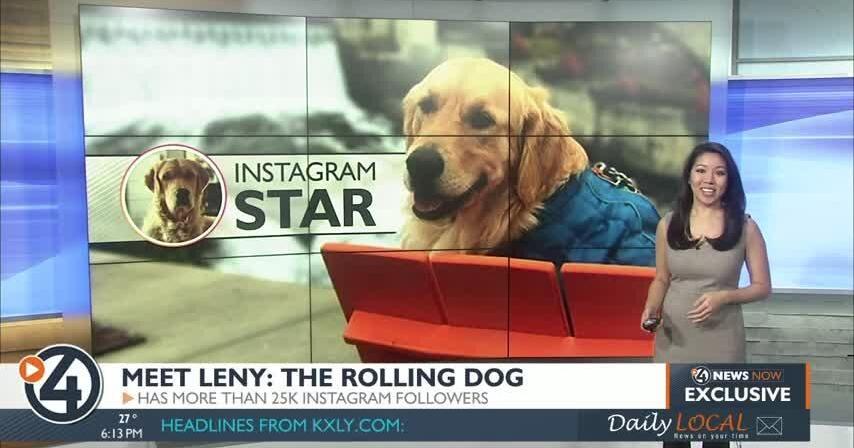 Meet Leny: Spokane’s Insta-famous dog with more than 25k followers ...