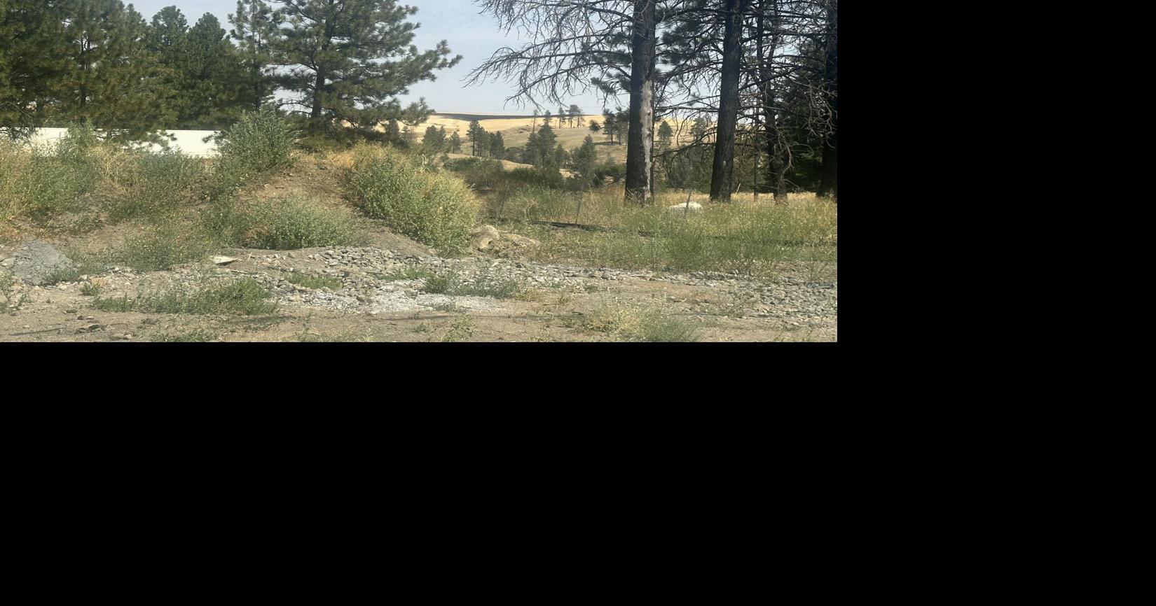 Wildfire scare near Malden resurfaces memories of 2020 Babb Road Fire ...