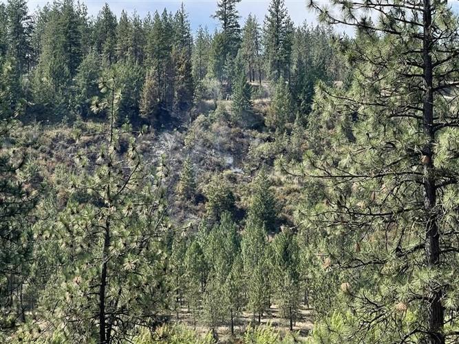 Fire crews investigating multiple fires that broke out along the Centennial Trail in Spokane ...