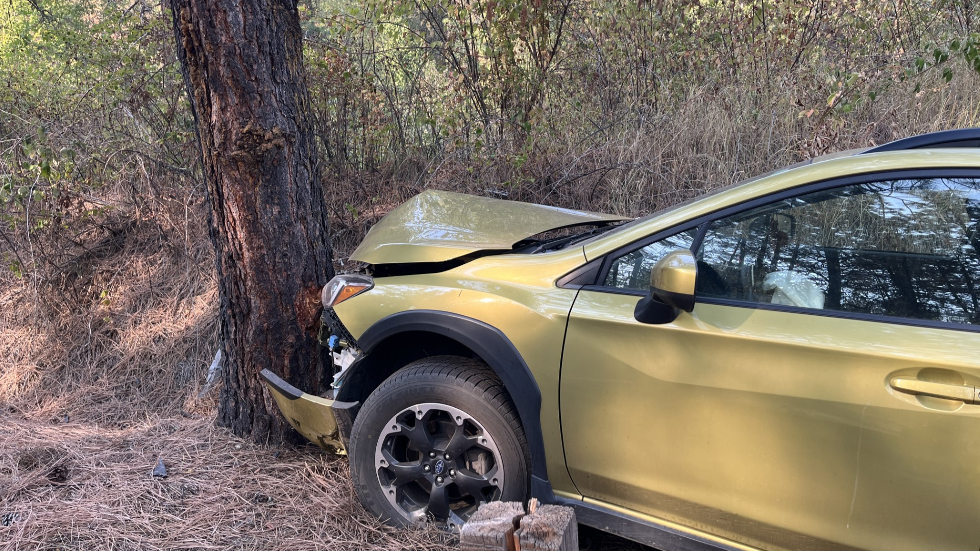 Man crashes car into tree and leaves scene near Orofino | News | kxly.com