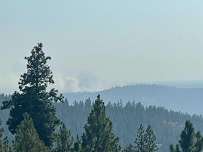 LIVE UPDATES: All evacuations lifted for Scottie Dog Fire near Cheney ...