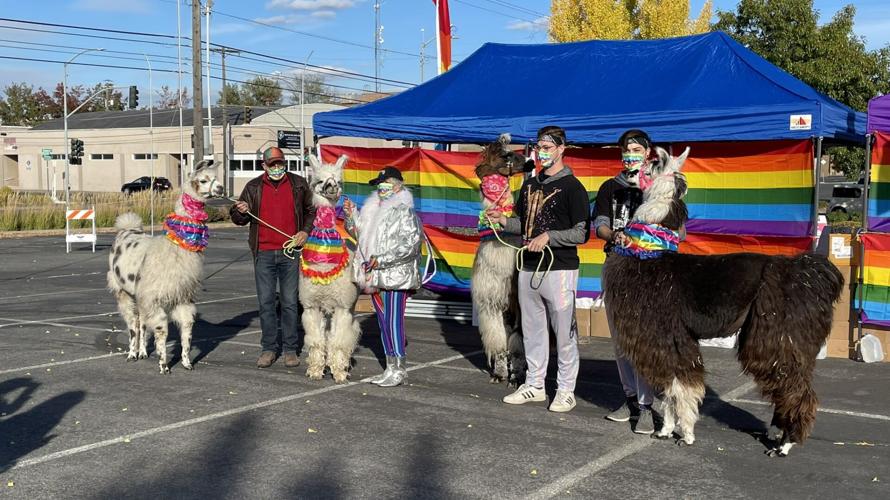 PHOTOS: Spokane Pride holds drive-thru festival | Local News | kxly.com
