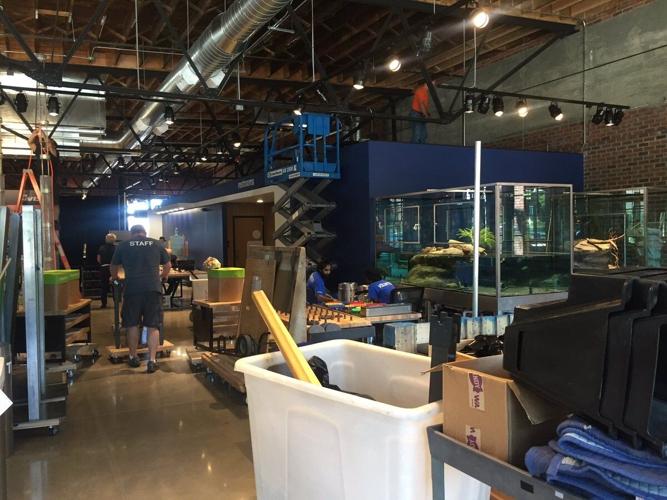 Gallery: Mobius Science Center | Local News | kxly.com