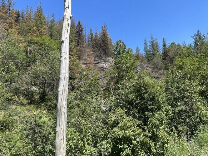 Gold Run Fire: How crews are working to protect Shoshone County homes ...