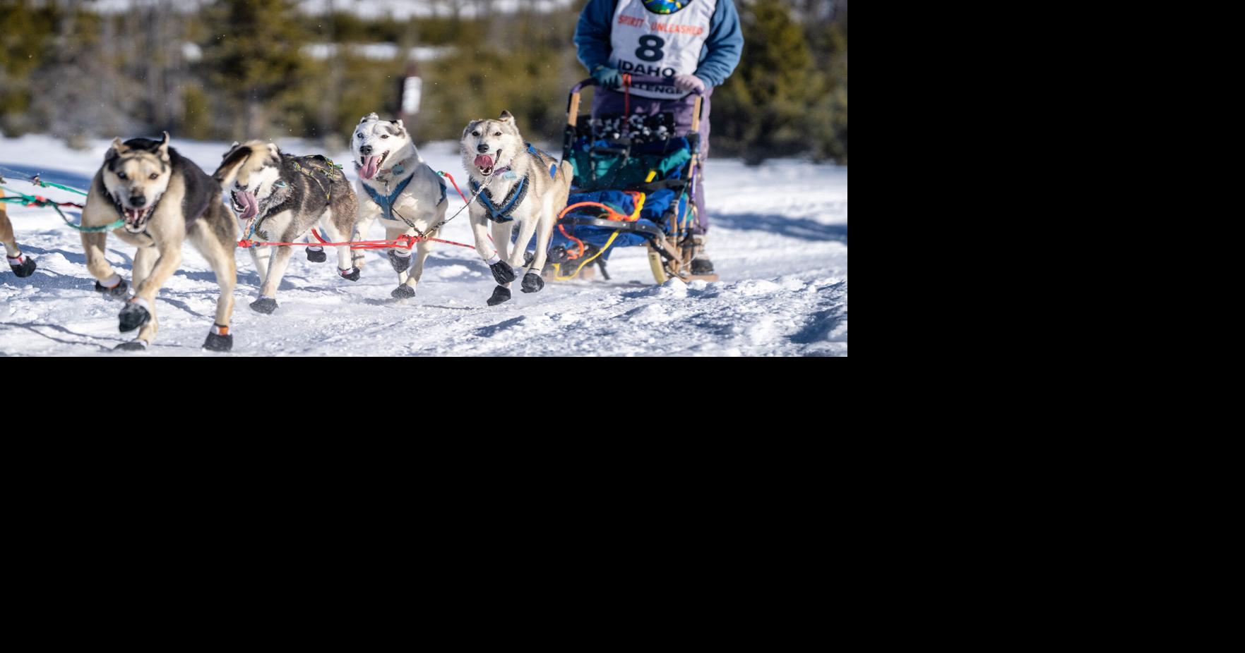 Idaho sled dog race begins Thursday | News | kxly.com
