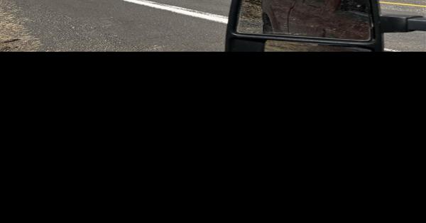 Gwen Fire | | kxly.com