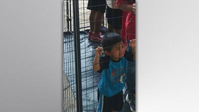 The truth behind this photo of an ‘immigrant child’ crying inside a ...