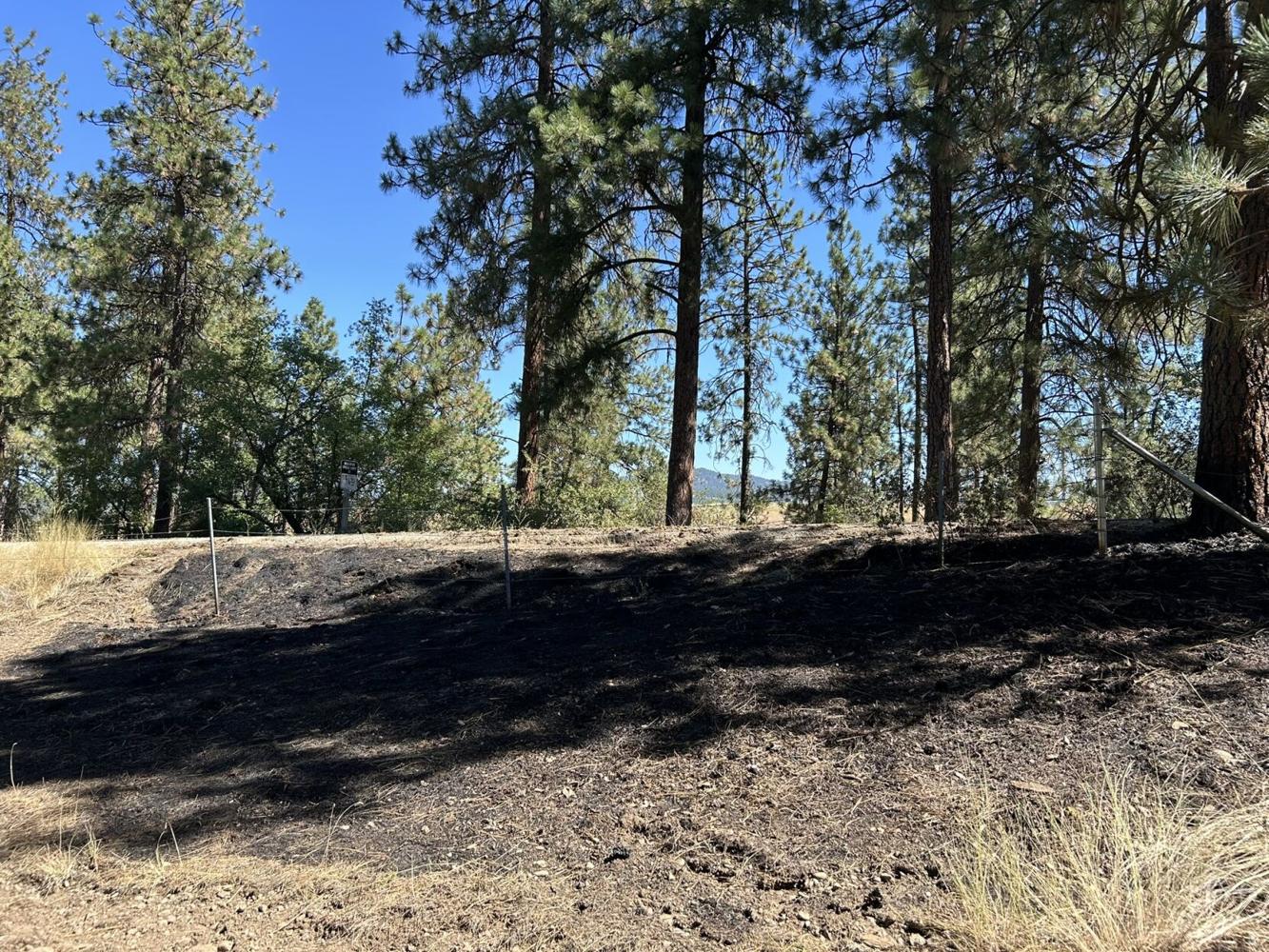 Intentional fires along Centennial Trail add to growing list in Spokane ...
