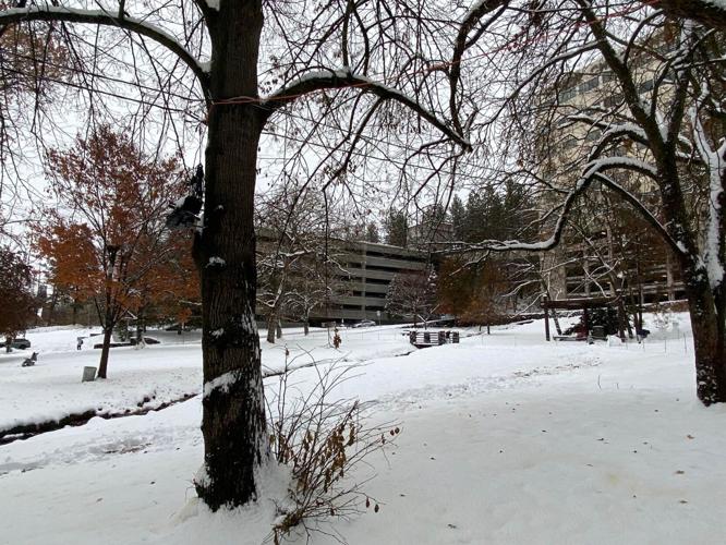 PHOTOS: Extreme Team’s Making Spirits Bright lights at Cowley Park ...