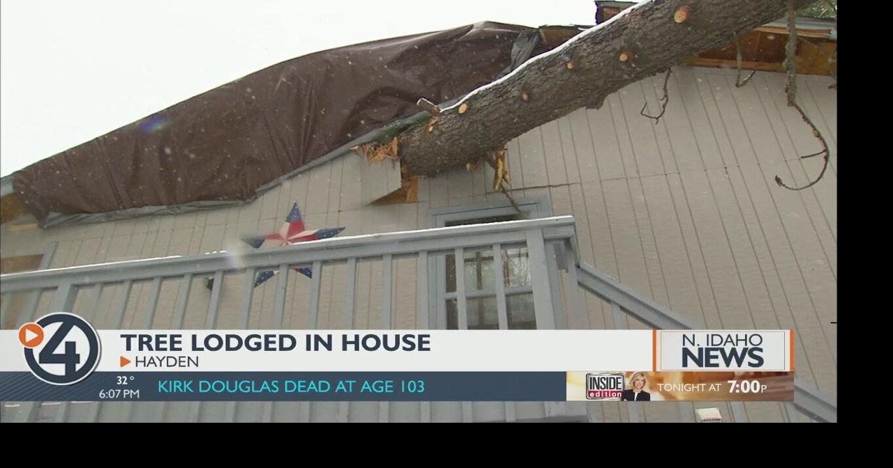 Massive tree lodged in Hayden house until further notice | Local News ...