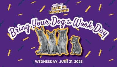 Downtown Spokane to celebrate 'Bring Your Dog to Work Day' | News ...