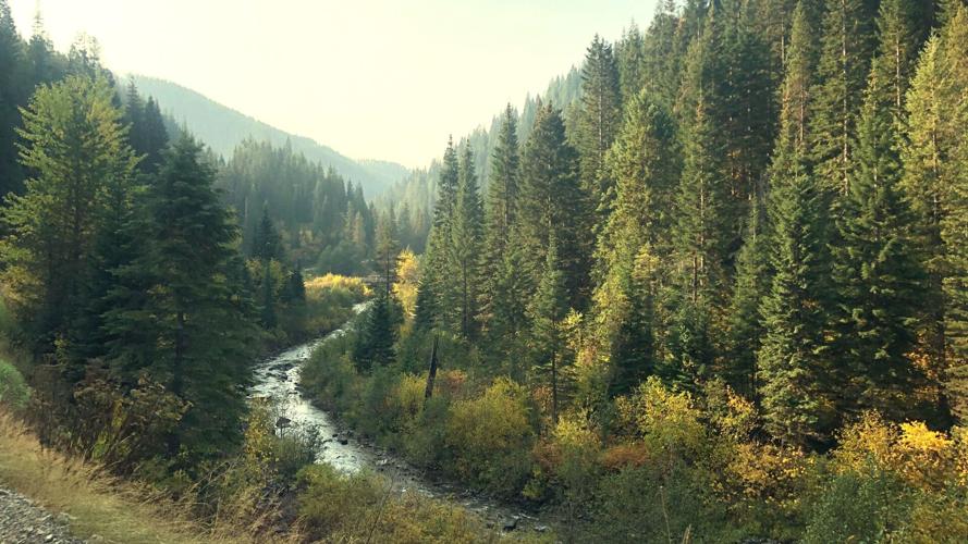 PHOTOS: Leaves turn along the St. Joe River | Top Stories | kxly.com