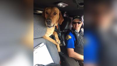 WSP says goodbye to K9 unit | Local News | kxly.com