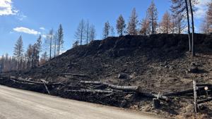 Washington DNR sues Inland Power over Gray Fire | News | kxly.com