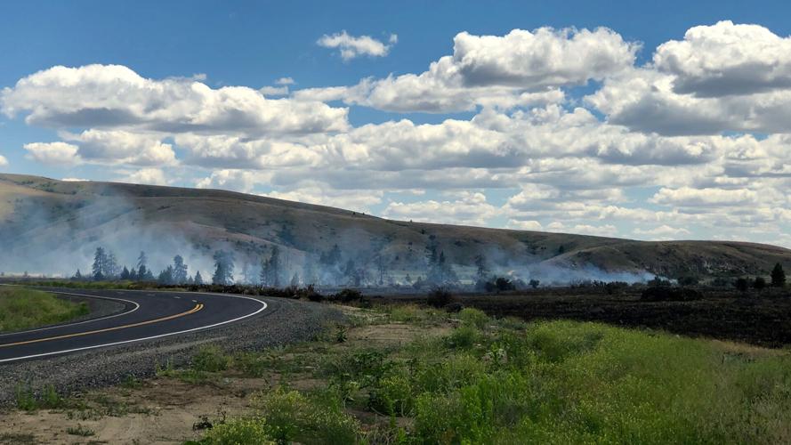 Colville Tribe Emergency crews put out wildfire on reservation ...