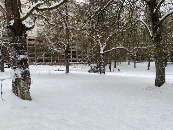 PHOTOS: Extreme Team’s Making Spirits Bright lights at Cowley Park ...