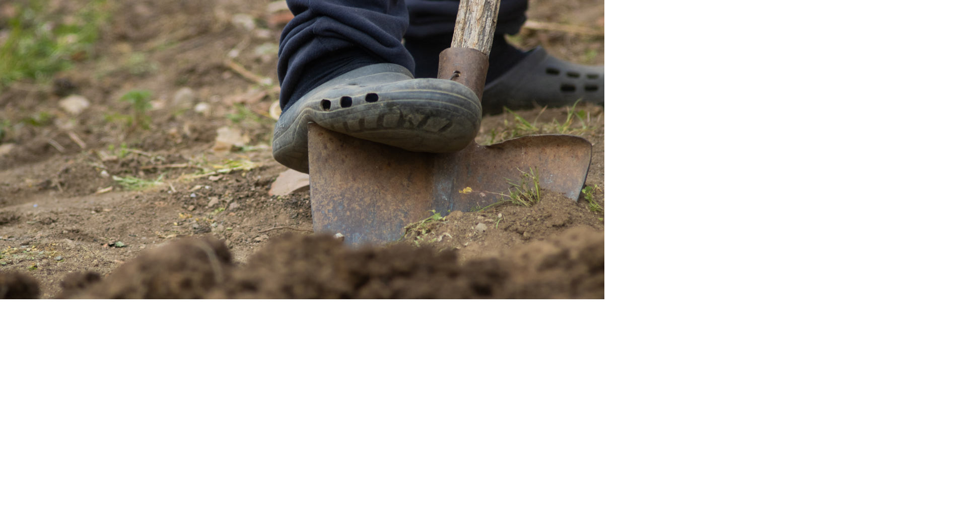 Check before you dig! April is National Safe Digging Month | News ...