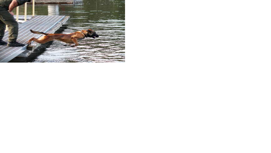 Spokane County Sheriff's Office K9 unexpectedly passes away | News ...
