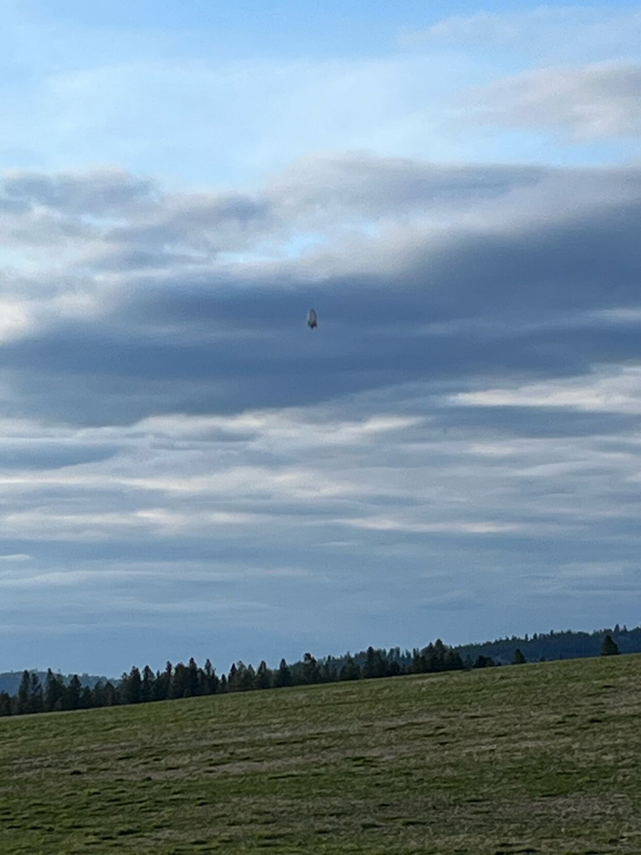 Object in the sky Saturday night was a rocket-shaped hot air balloon ...