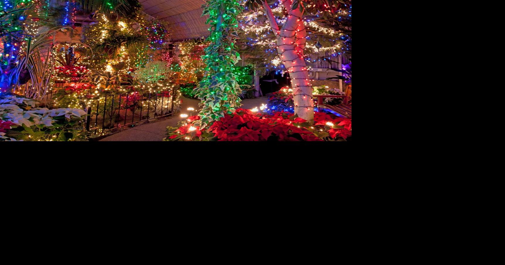 Manito Park Gaiser Conservatory Lights Begin Friday | Local News | kxly.com