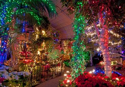 Manito Park Gaiser Conservatory Lights Begin Friday | Local News | kxly.com