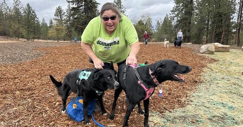 Spokane dog owners excited to return to newly renovated High Bridge Dog ...