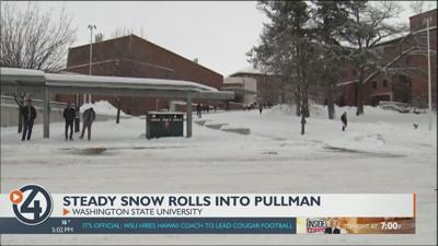Students brave the snow as spring semester gets underway at WSU Pullman ...