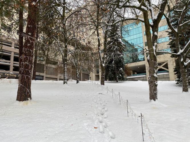 PHOTOS: Extreme Team’s Making Spirits Bright lights at Cowley Park ...