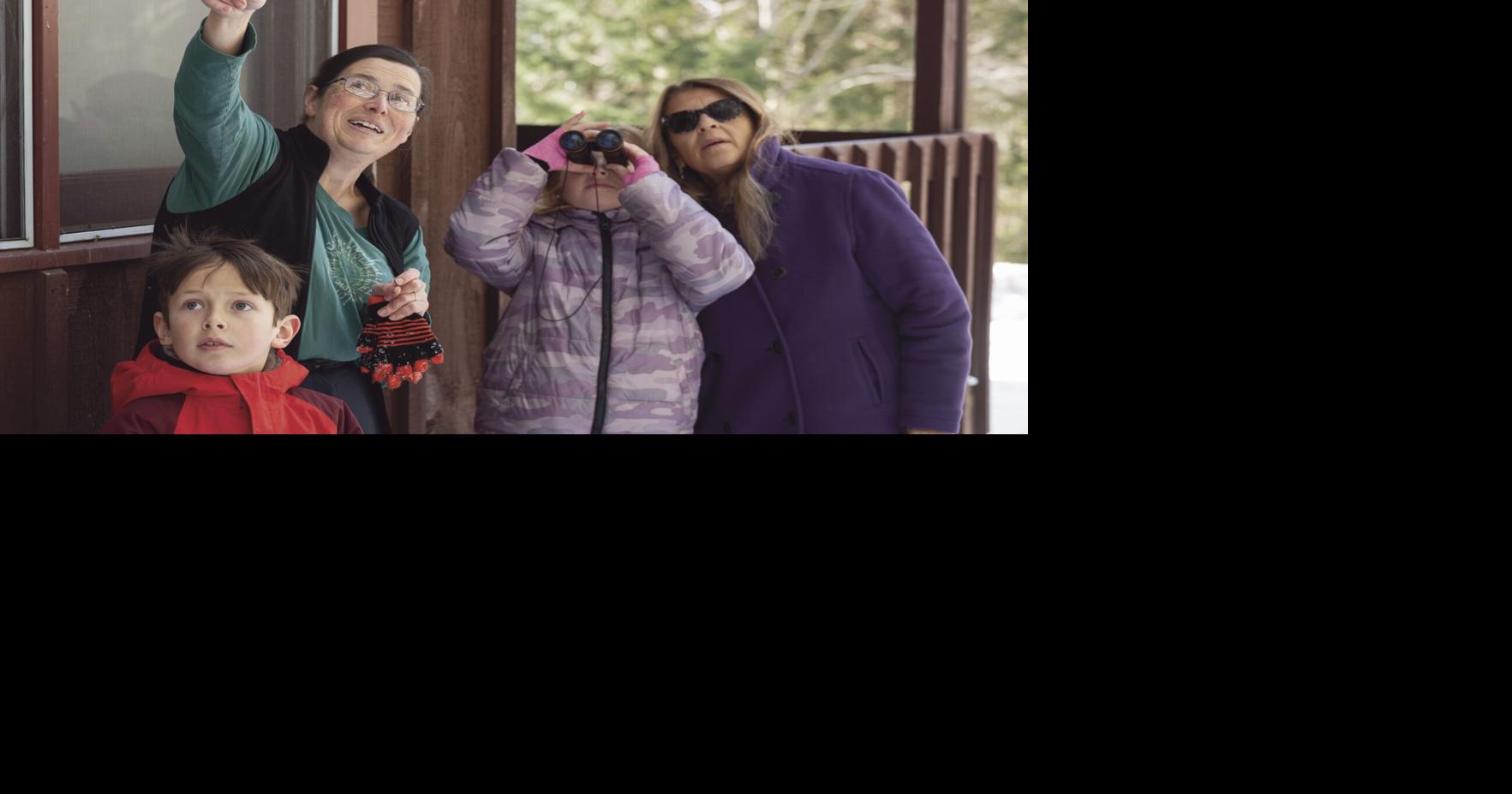 Not all birds fly south for the winter: Newfound Lake Region ...