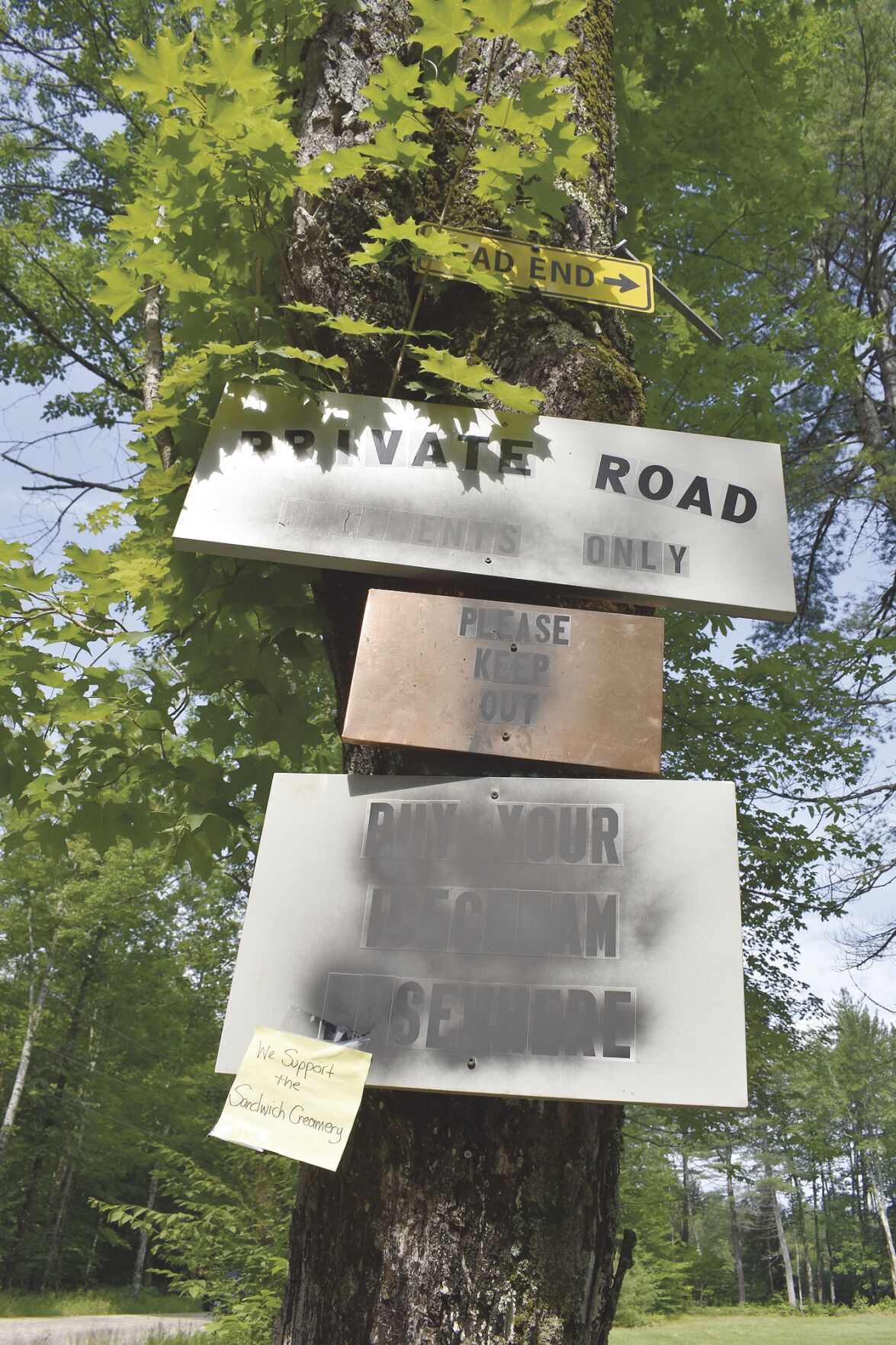 Hannah Road neighbors melt down over ice cream traffic | Local News ...