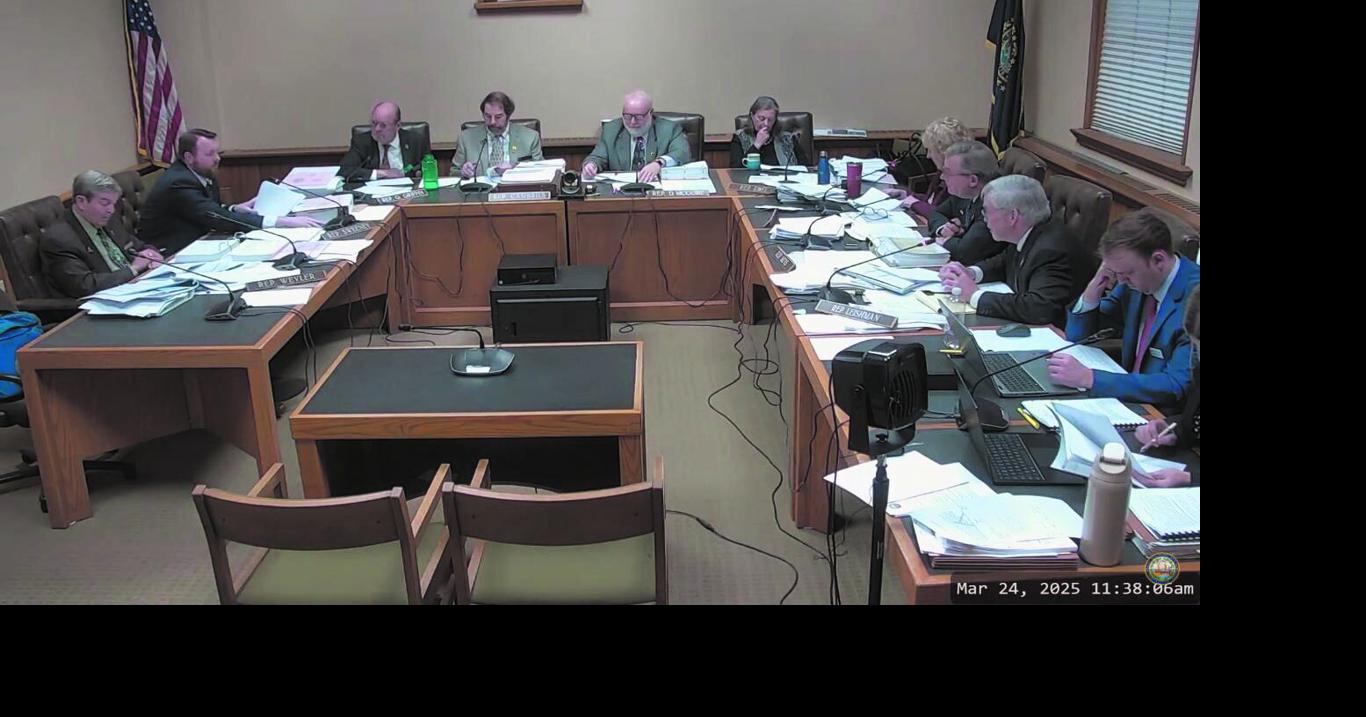 House finance committee votes to defund State Arts Council; state ...