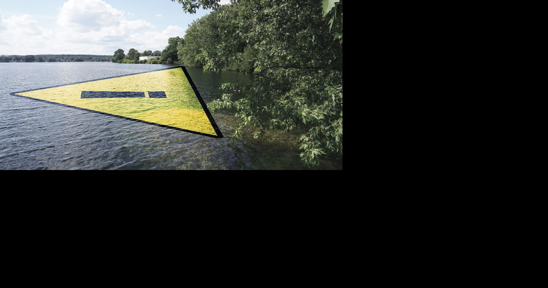 Cyanobacteria blooms continue to alert people and pets | Local News ...