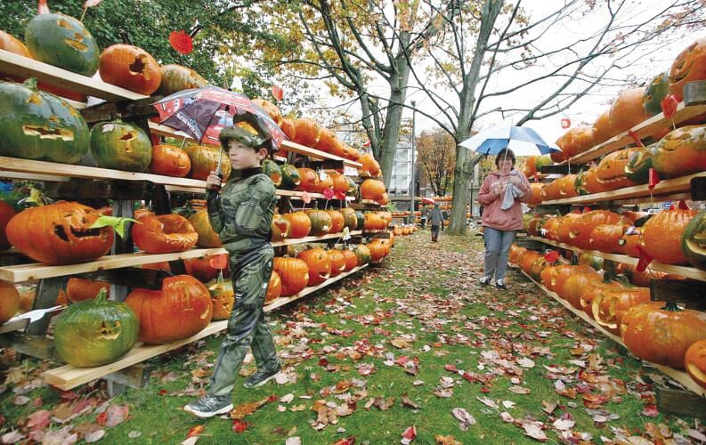 Pumpkin festival 2020 store