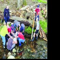 Plymouth resident pinned by tree in backyard last week will make full ...