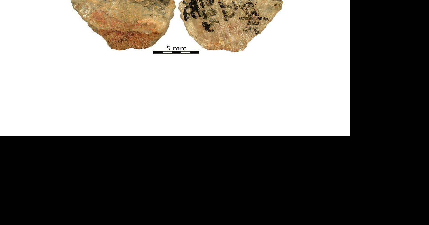 World’s oldest poisoned arrows identified | Around The Web | laconiadailysun.com