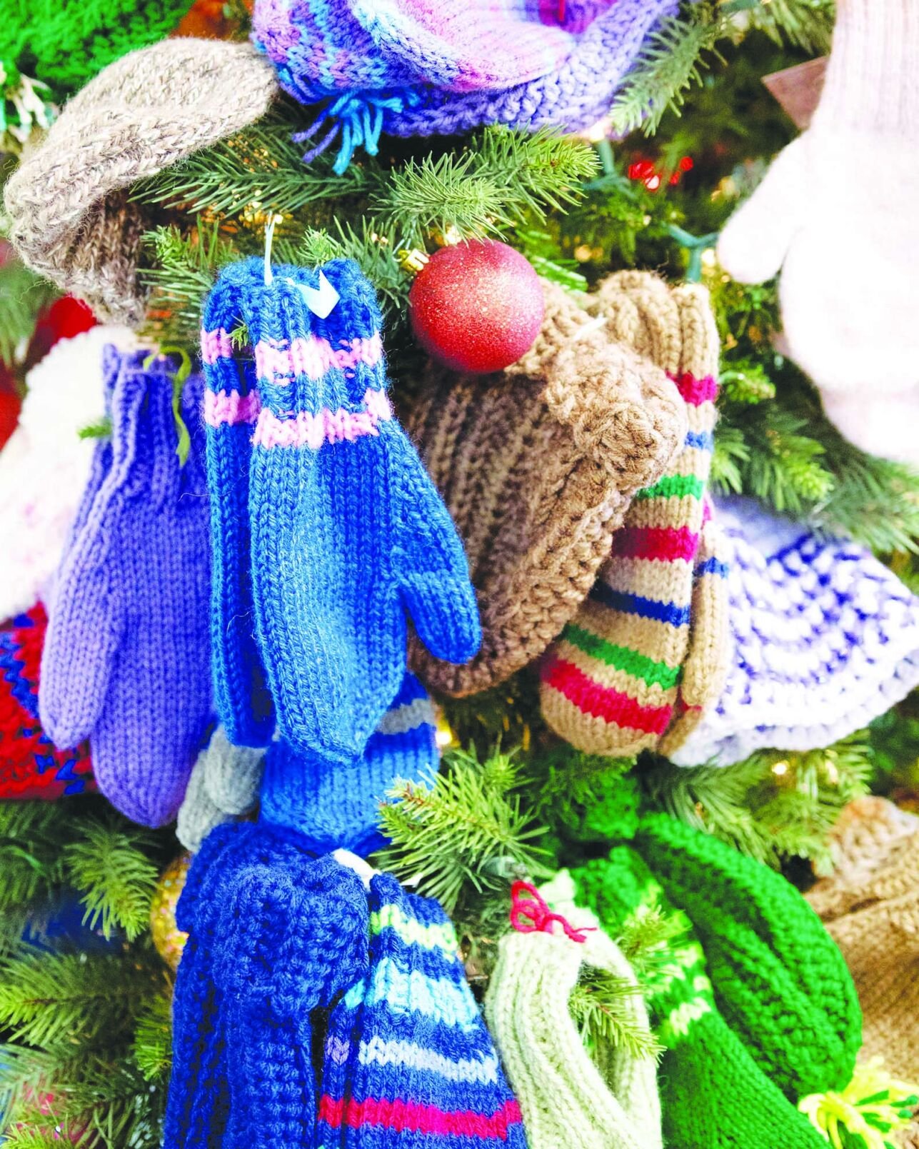 A tradition of caring: MVSB’s mitten tree drive brings warmth to local ...